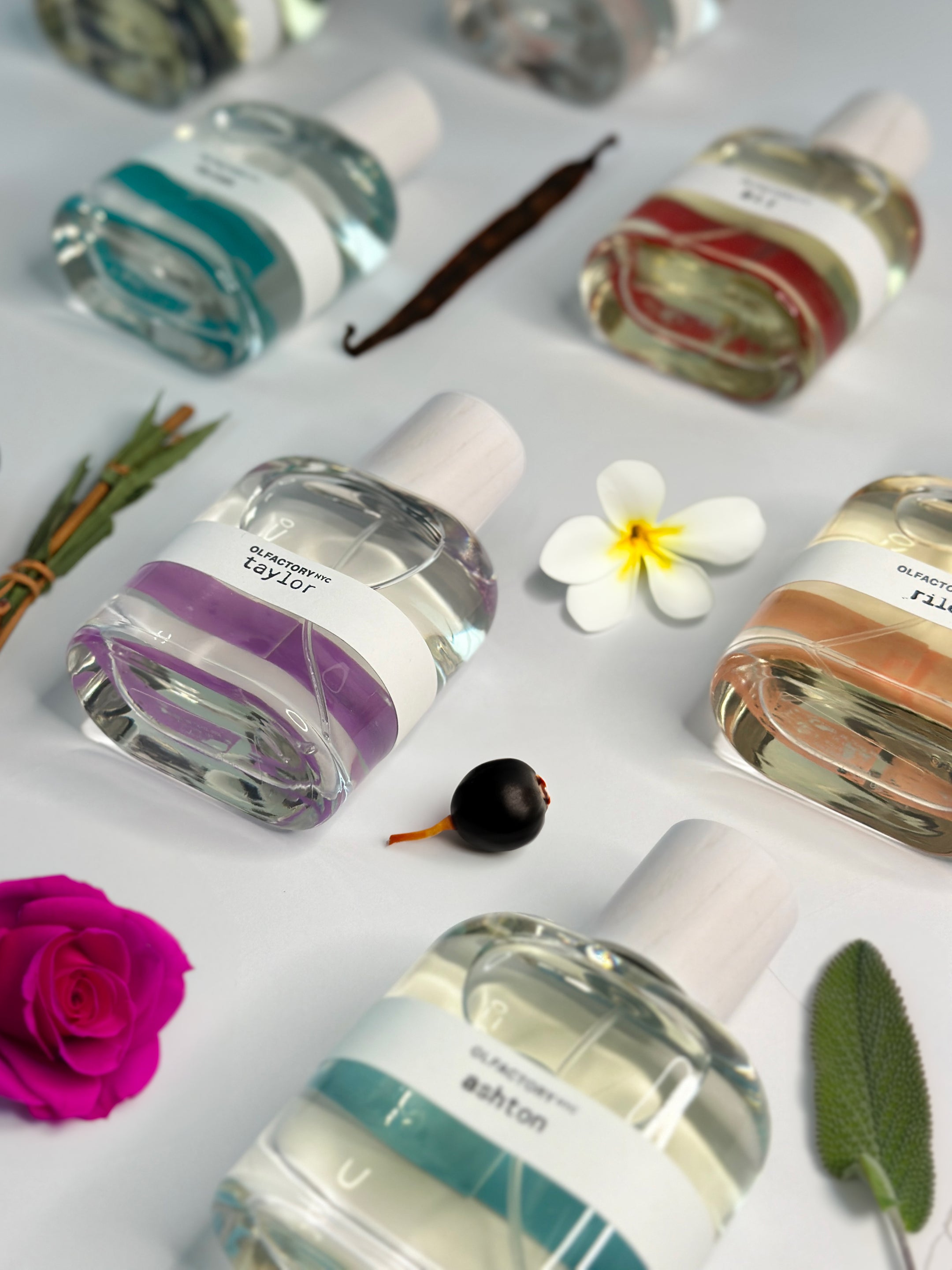 The Gendered Fragrance Myth – Olfactory NYC