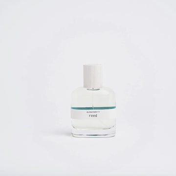 Olfactory NYC Reed Fragrance
